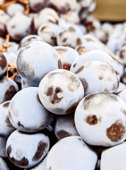 Goodwin's Organics Riverside