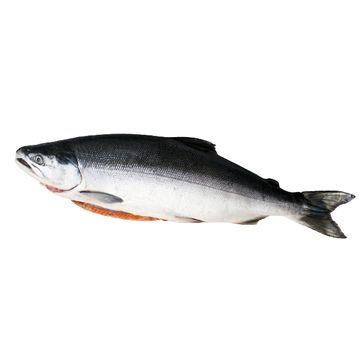 Kerala Salmon Fish